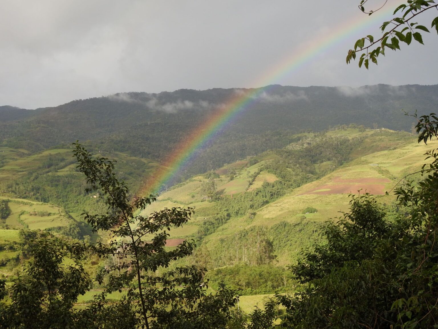 Valle de Utcubamba – Rangra Wasi